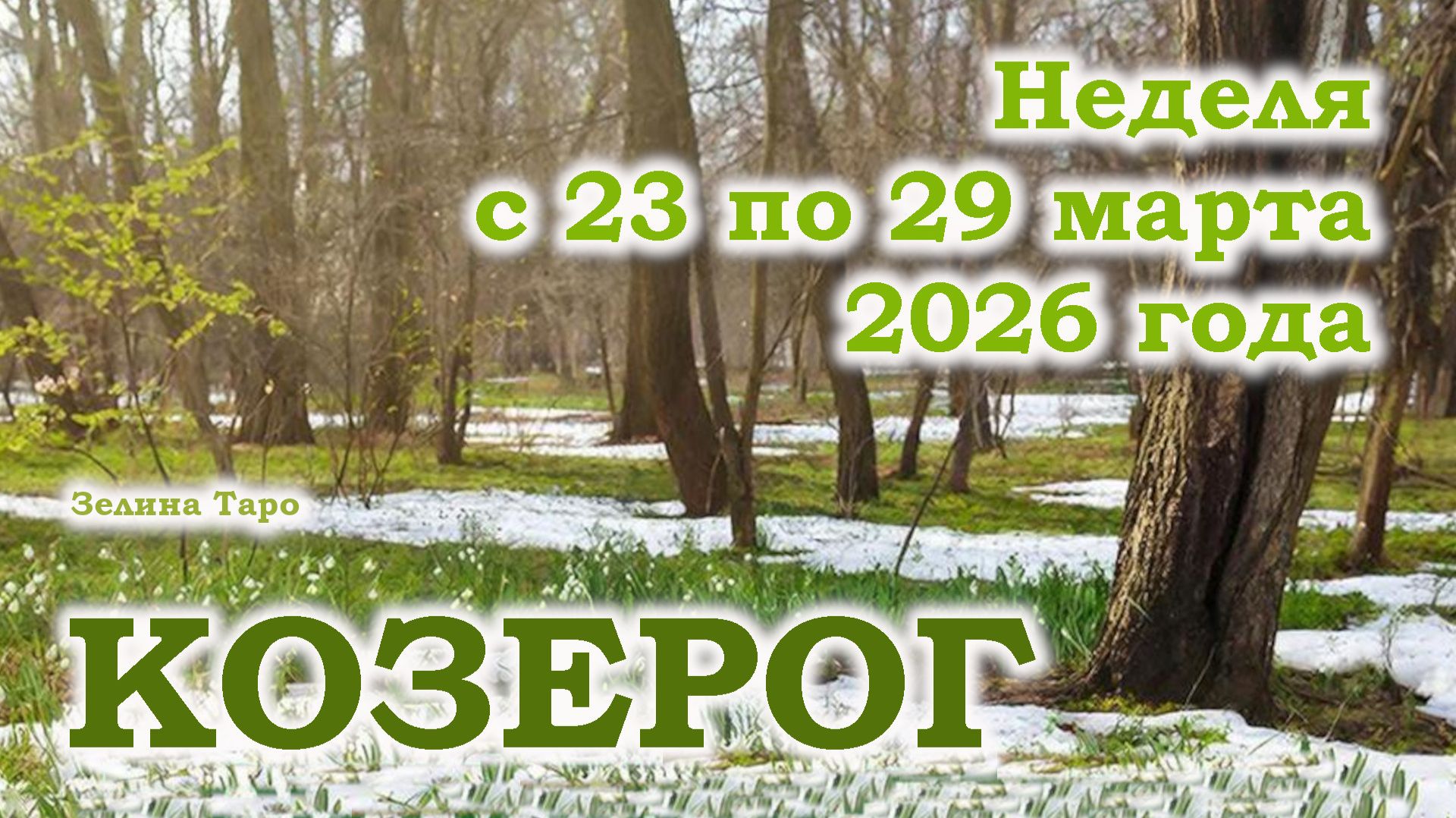КОЗЕРОГ | ТАРО прогноз на неделю с 23 по 29 марта 2026 года