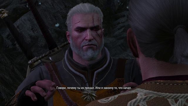 The Witcher 3: Wild Hunt (12.3)