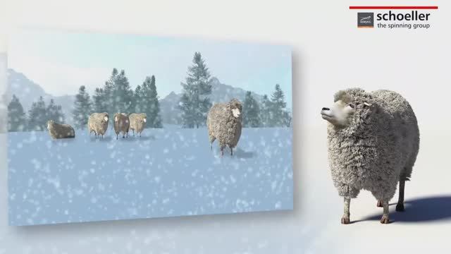 Шерсть мериносов от компании Schoeller