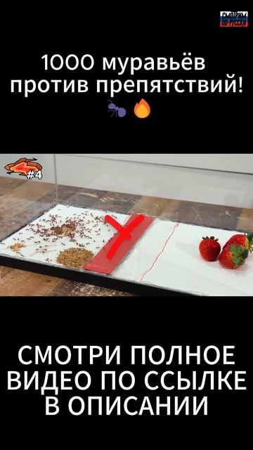 1000 муравьёв против препятствий! 🐜🔥 ЧАСТЬ 5/6