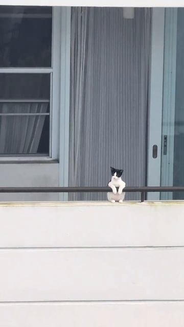 Какой же он классный