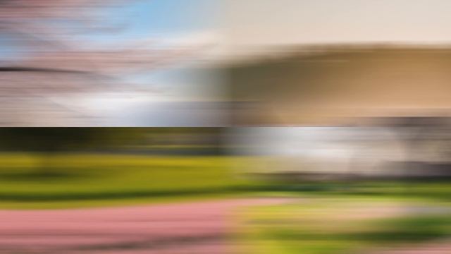 Звук природы. Птицы. Вьюрок в деревне поет весенним утром