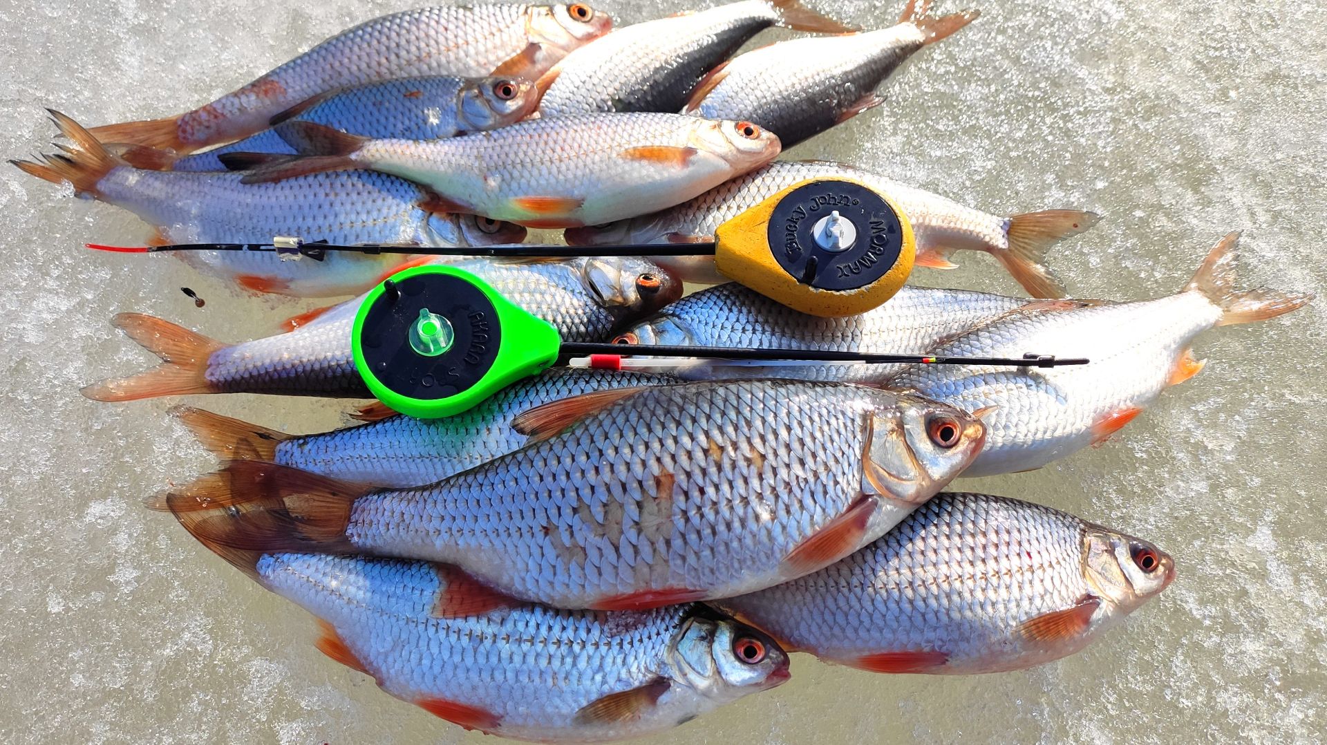 ЖИРНАЯ ПЛОТВА из ОДНОЙ ЛУНКИ. Рыбалка на МОЖАЙКЕ. Окунь на гвоздик.