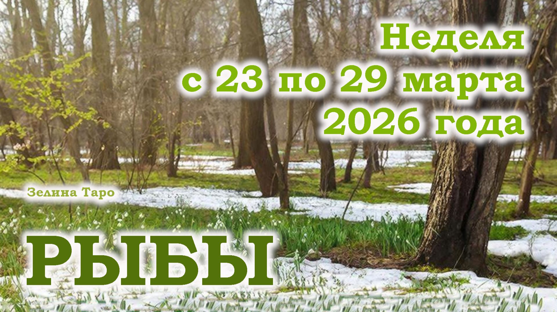 РЫБЫ | ТАРО прогноз на неделю с 23 по 29 марта 2026 года