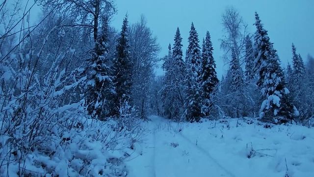 Последняя охота Тумана...