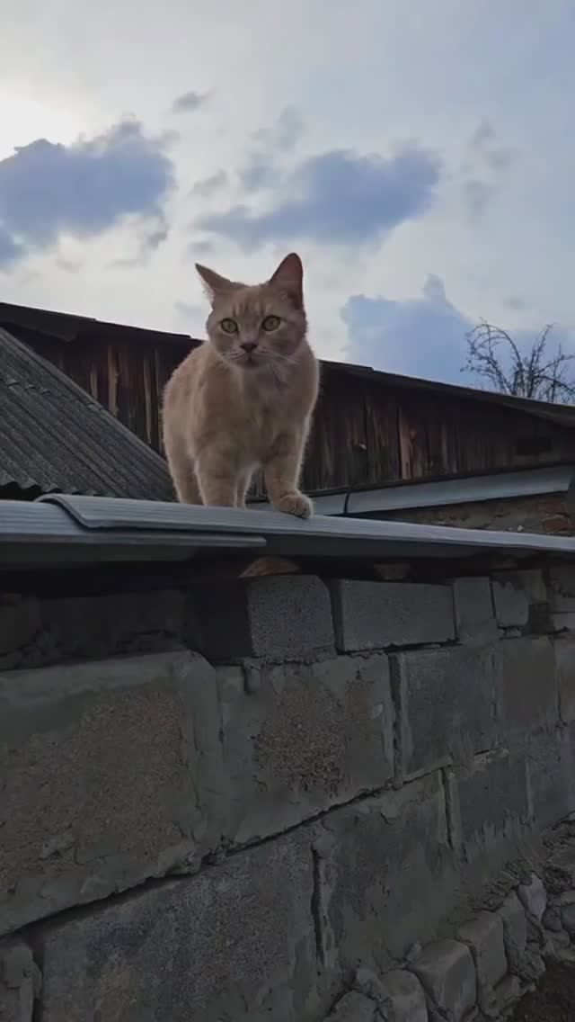 Огородники, нужен ваш совет!