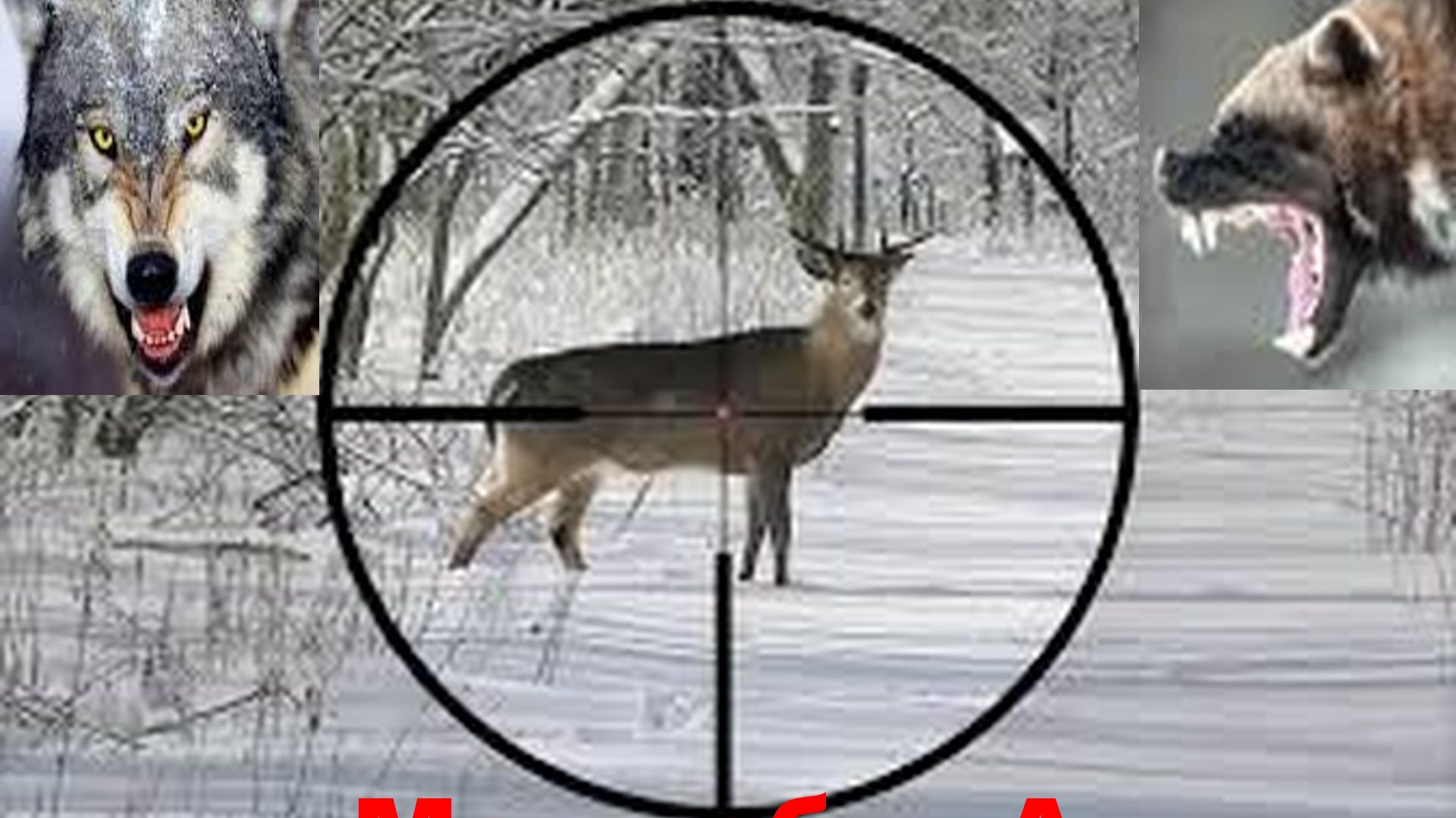 Одна добыча на всех. Необычная история.