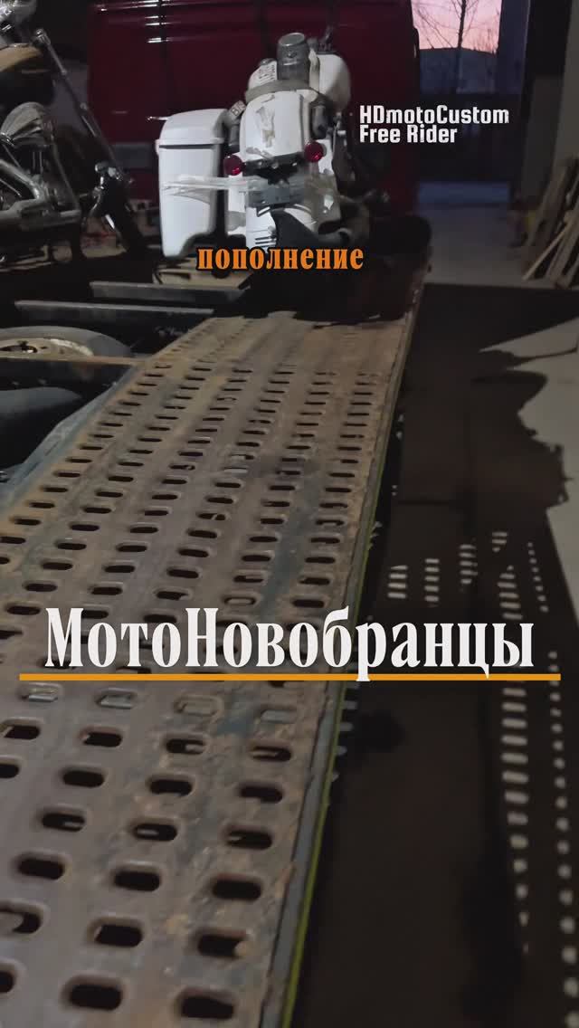 Harley 2024 Road King Special & 2003 Softail Deuce Юбилеечка CVO - МОТОНОВОБРАНЦЫ