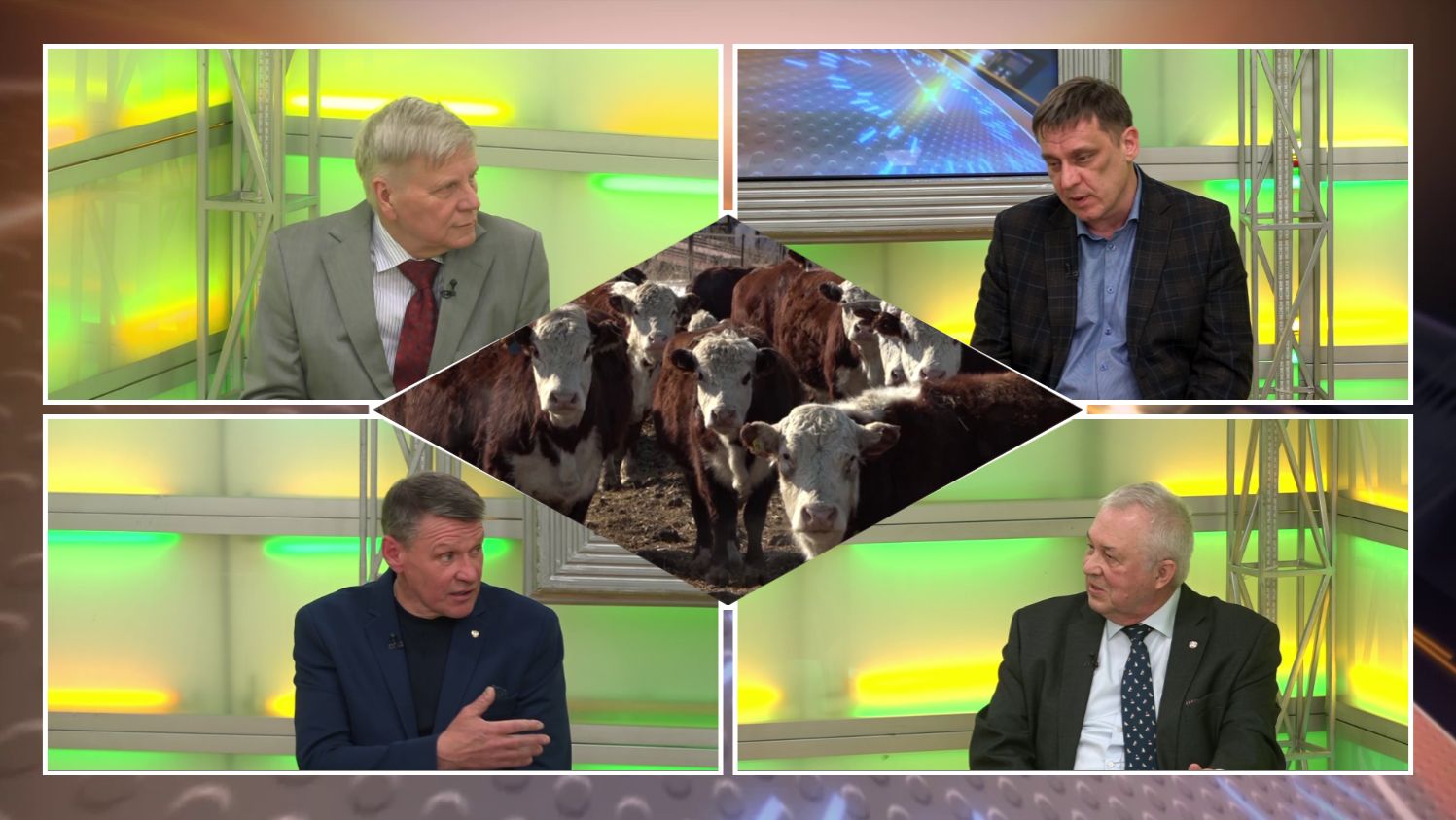 Политики и депутаты о вспышке заболевания скота в Новосибирской области // «Студия 49» от 22.03.26