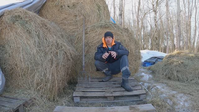 Про ситуацию со скотом у нас , сено "тает" как снег, готовлю Беларуса! Жизнь в деревне