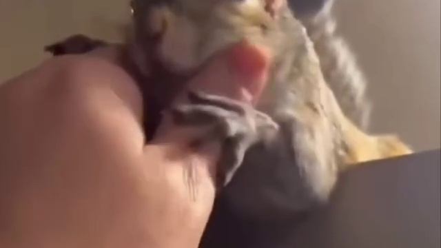 Он испытал чувство, о существовании которого даже не знал