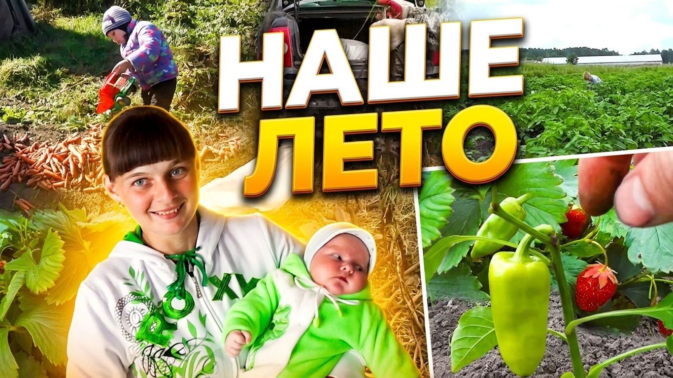 ЧТО МЫ ДЕЛАЛИ ЭТИМ ЛЕТОМ. Из города в деревню 18 серия