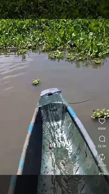 Весёлая рыбалка.