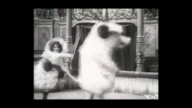 Shorts, The Dancing Pig. 1907 THE DANCING PIG