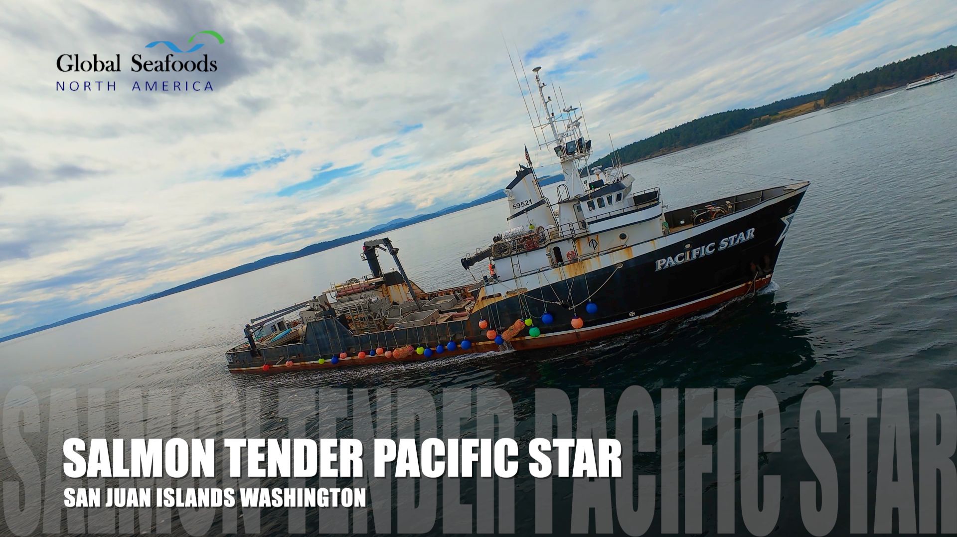 Тендер Pacific Star | Лопес-Айленд, Сан-Хуанские острова 🛥️🐟