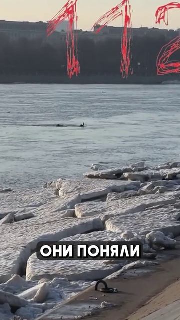 В Санкт-Петербурге любители острых ощущений устроили сплав на льдине
