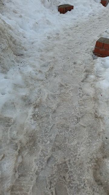 №1768 Двор Сибирская 73. 15 марта 2026 г., 18:03:47 VID_20260315_180302879