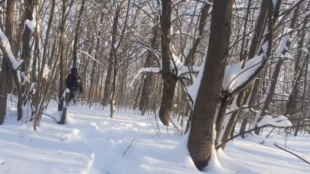 похищенный для леса ЧАСТЬ 39