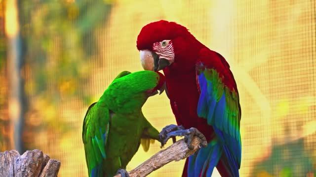 МУЗЫКА, КОТОРАЯ ПРОНИКАЕТ В ДУШУ И ПОЗВОЛЯЕТ ПОЛНОСТЬЮ РАССЛАБИТЬСЯ