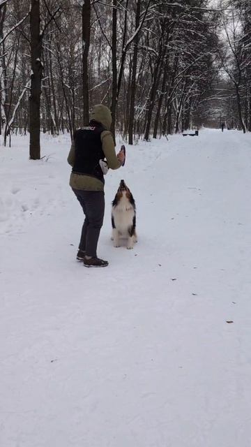 АО Барри - совместные, жонглирование
