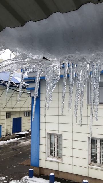 Зима! Уйди навсегда!