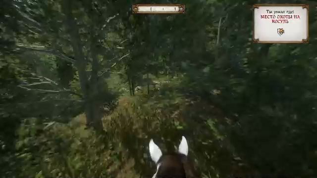 Kingdom Come Deliverance | Прохождение #12