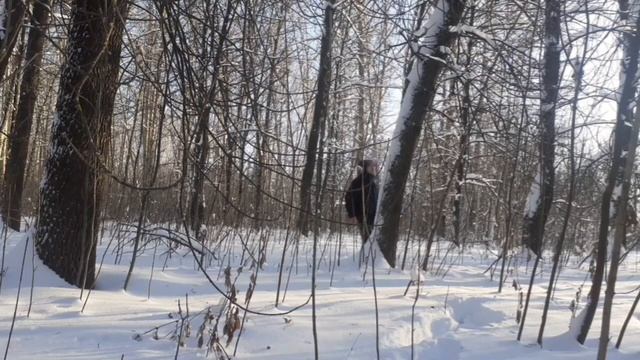 20-03-2026похищенный для леса ЧАСТЬ 30
