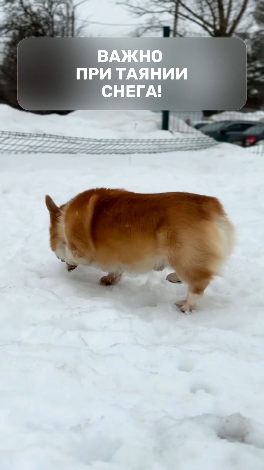 Важно при таянии снега!