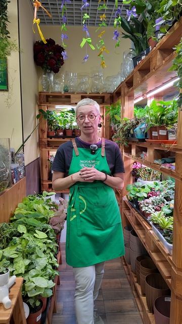 Вы чего такие балованные?