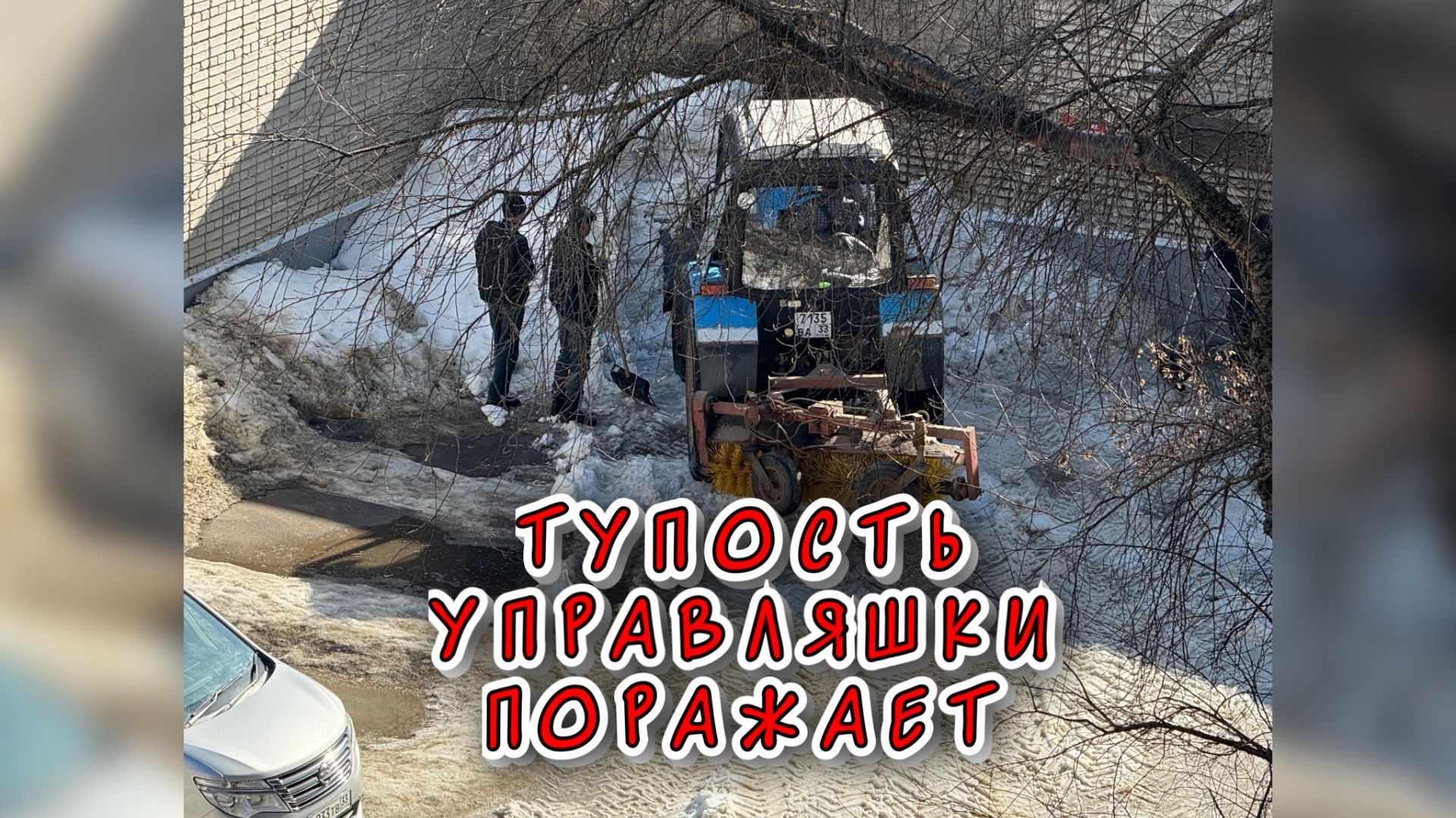 Тупости управляшки нет предела / 20.03.2026