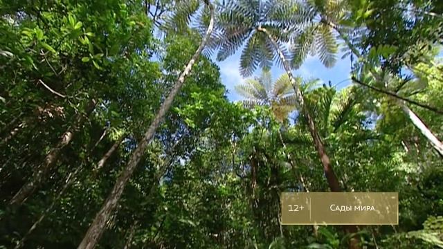 Анонс Сады мира