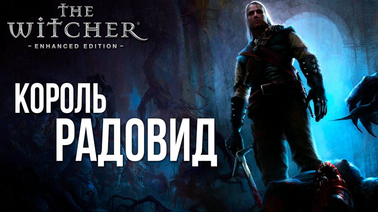 КОРОЛЬ РАДОВИД | The Witcher / Ведьмак | #14