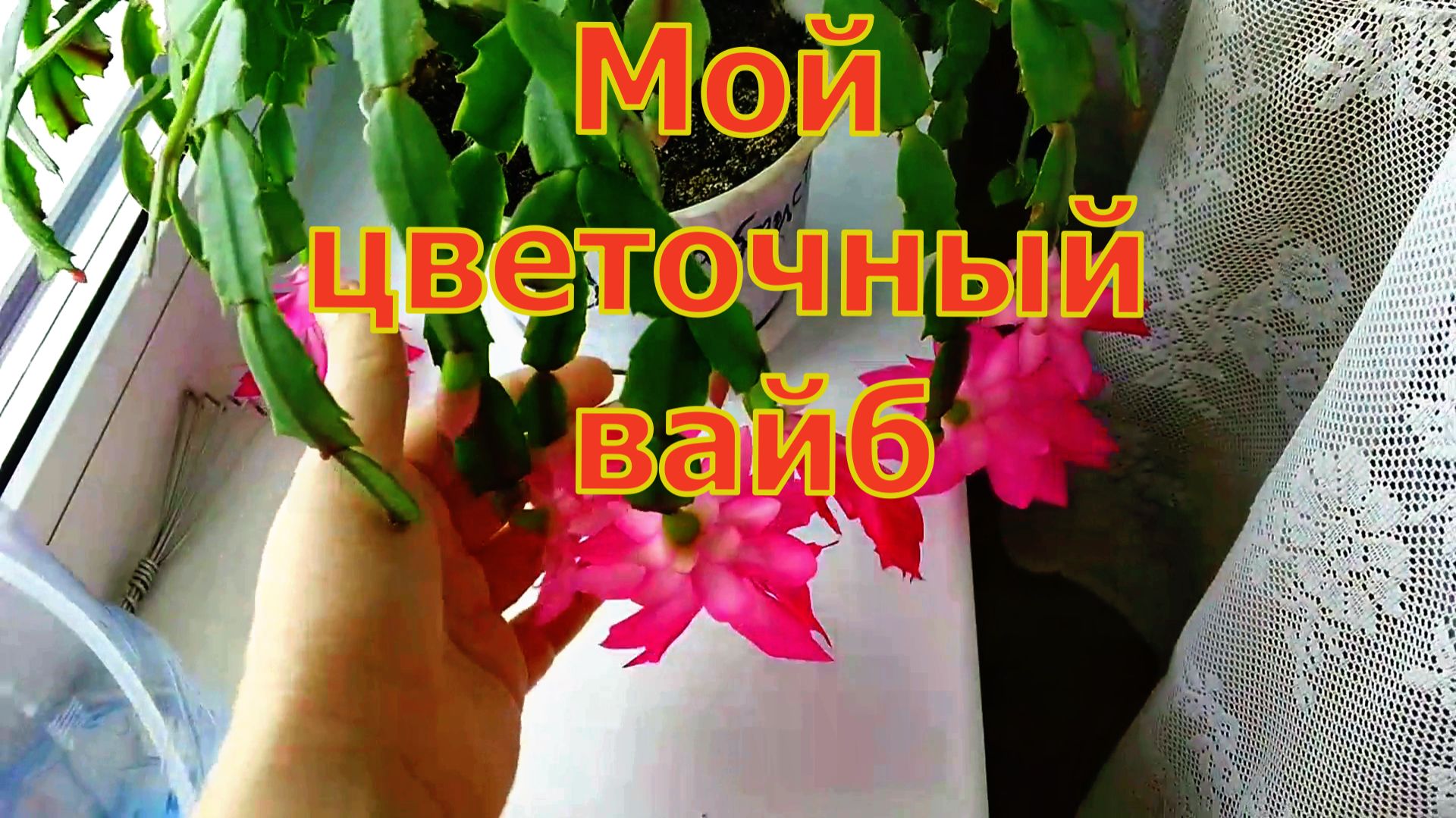 Цветочный влог