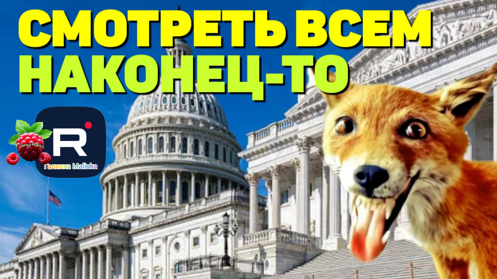 Лиса в Америке _Смотреть всем _Наконец-то _Обзор _Big Big Family _Сельчанка в Америке _