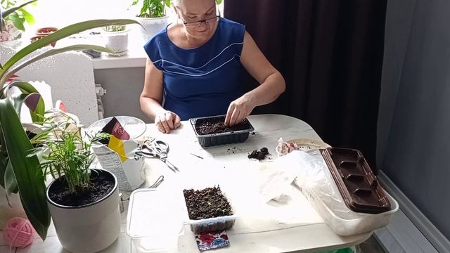 Очередные выходные, сажаем перцы с помошницей)