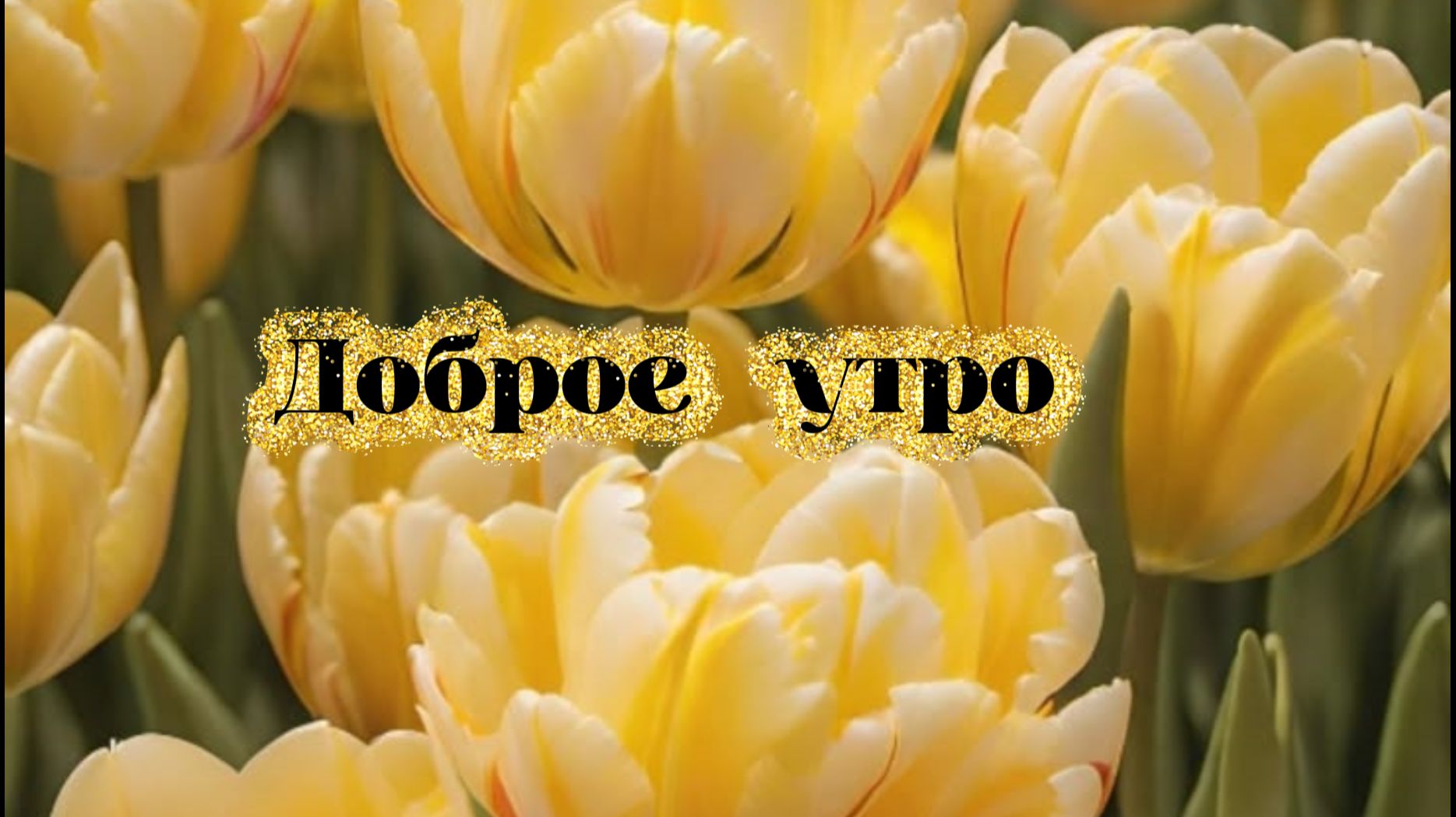 Доброе утро с пожеланиями добра | Музыкальная открытка хорошего дня ☕