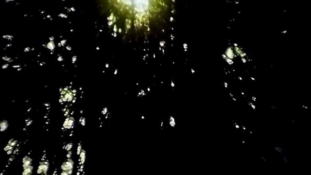 1987 год. Сургут. В лесу рядом с городом