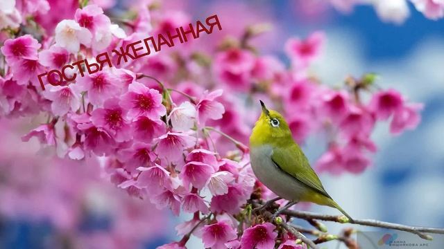 ГОСТЬЯ ЖЕЛАННАЯ - Жанна Вишнякова Арс