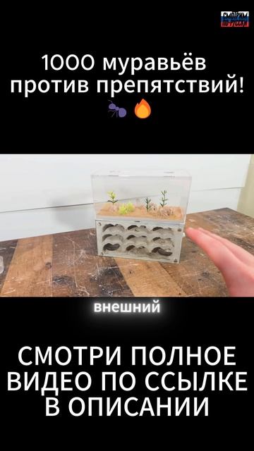 1000 муравьёв против препятствий! 🐜🔥 ЧАСТЬ 6/6