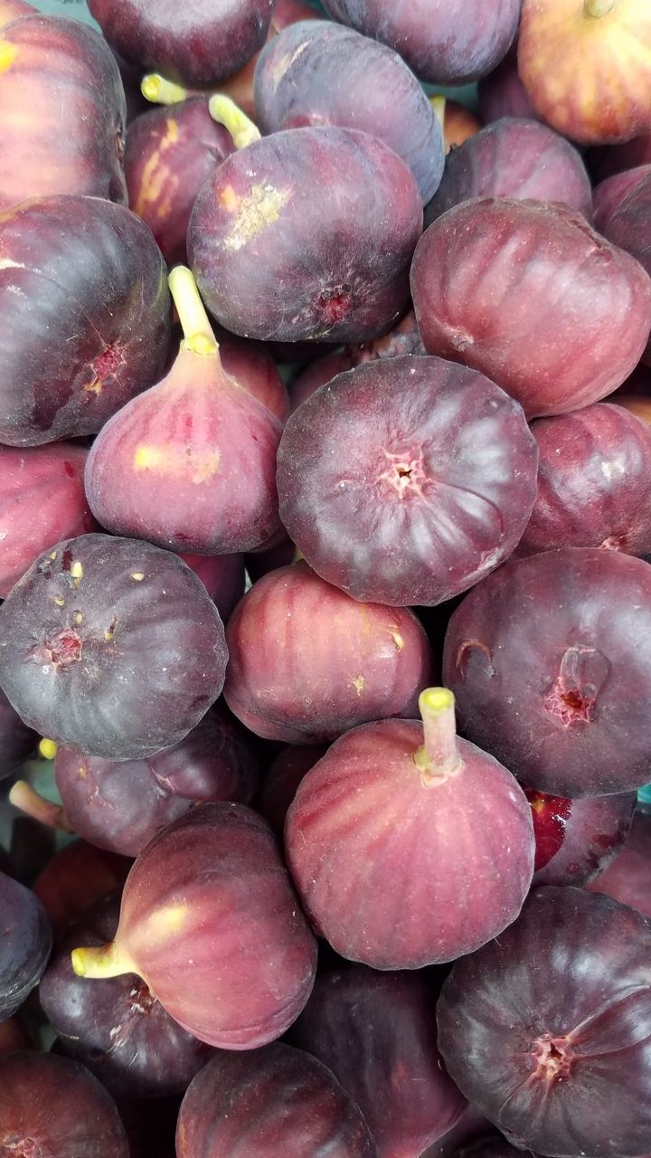 Супер инжир Абхазский фиолетовый Ростов-на-Дону