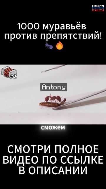 1000 муравьёв против препятствий! 🐜🔥 ЧАСТЬ 3/6