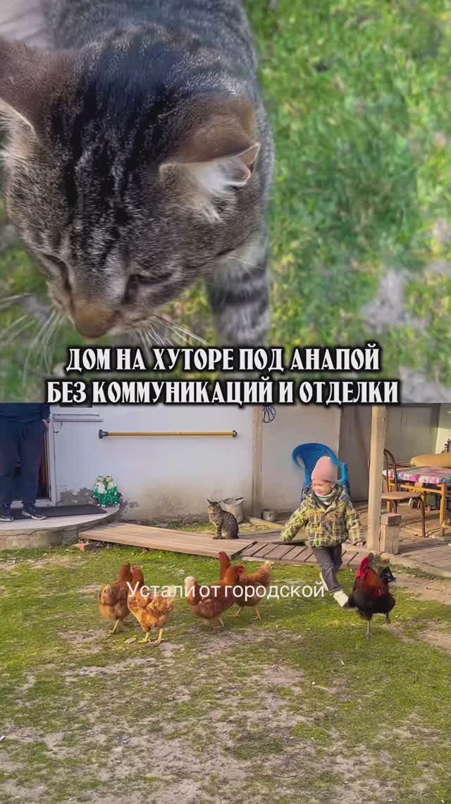 Устали от города и взяли вторую ипотеку на покупку дома на хуторе, без ремонта и коммуникаций