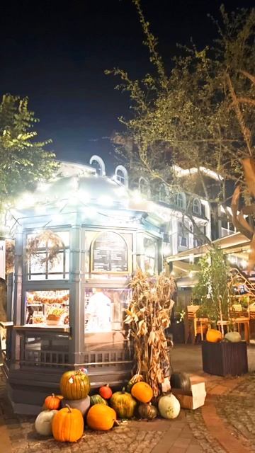 День Моего рождения 🎉( из архива 2024)