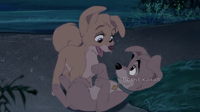 Шалун клип Dior