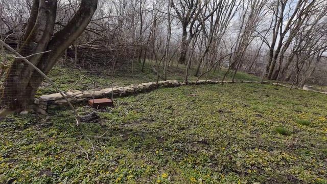 17-19 марта 2026г. Обработала клубнику,пожгла ветки,посадила еще картошку.