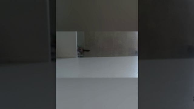 PipiKlaemm het Two (ПипиКлаемм глава два ) спасение Джигги Вигги