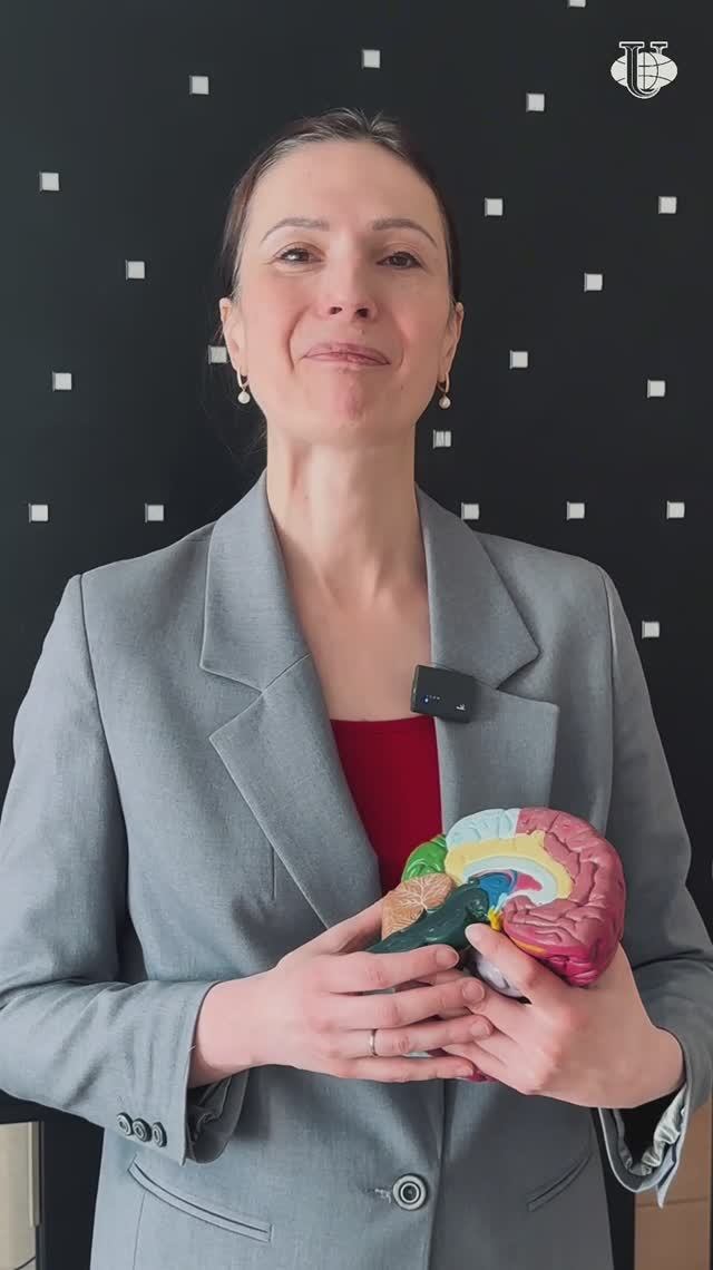 Что такое счастье с научной точки зрения? Отвечает эксперт РУДН Вера Толченникова