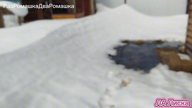 21.03.2026 уДача-дача. НА РАЗВЕДКУ 💥💥💥