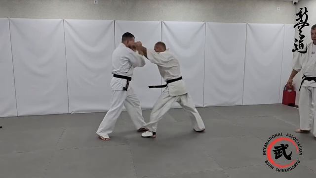 Yakusoku Kumite. Distance