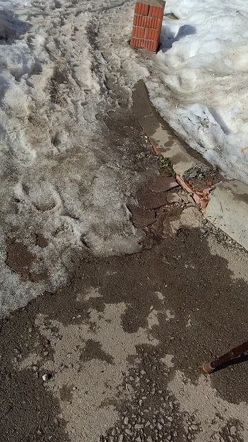 №1823 Двор Сибирская 73. 19 марта 2026 г., 14:19:04 VID_20260319_141826081